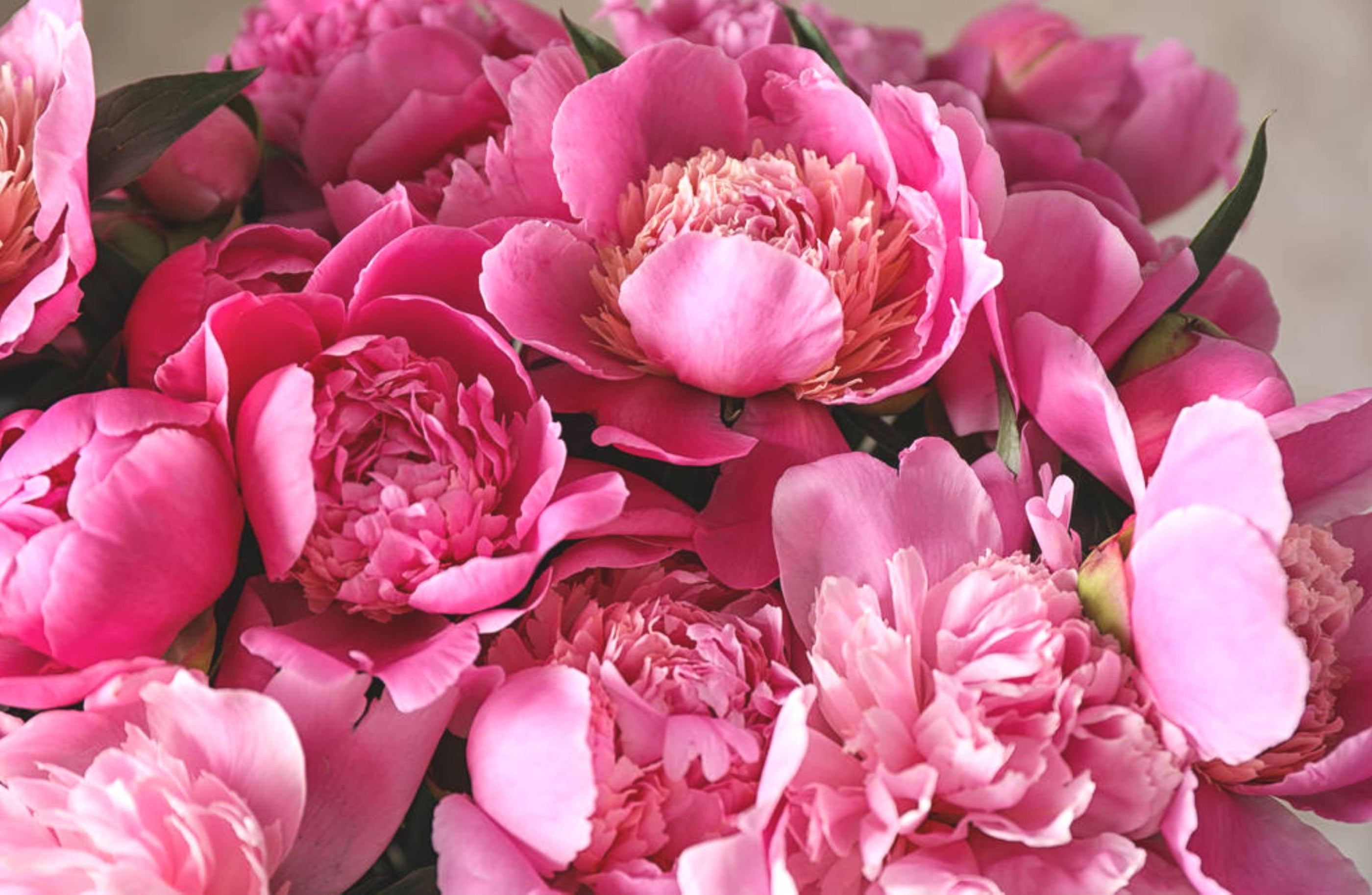 Blooming Amazing | Same Day Flower Delivery Dublin